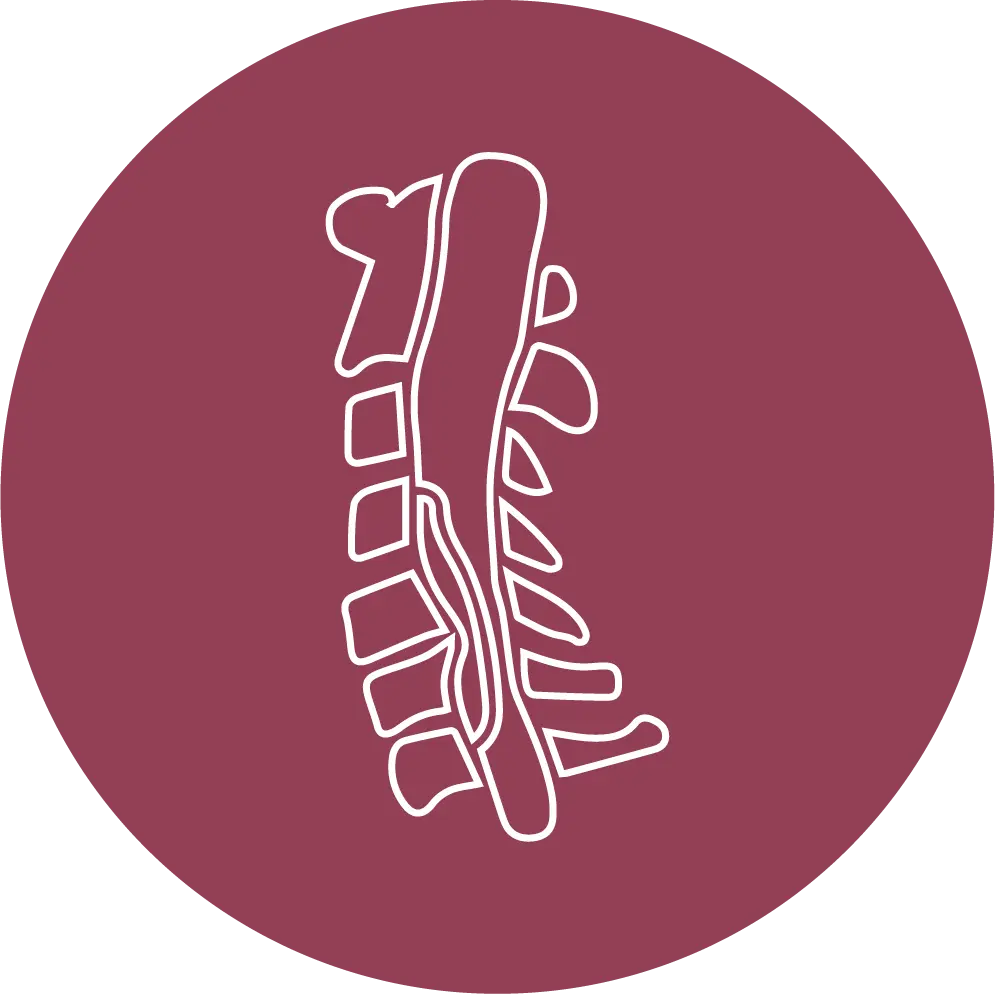 ARTERIAL & VENOUS DOPPLER